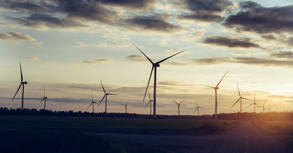 Eurowind Energy | Financial Statements